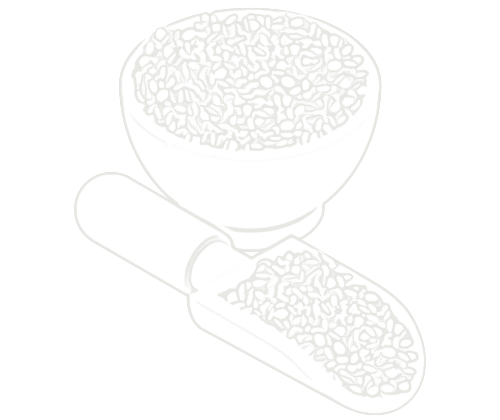 Varieties of Organic Millets & Cereal Grains - Nature Bio Foods Europe